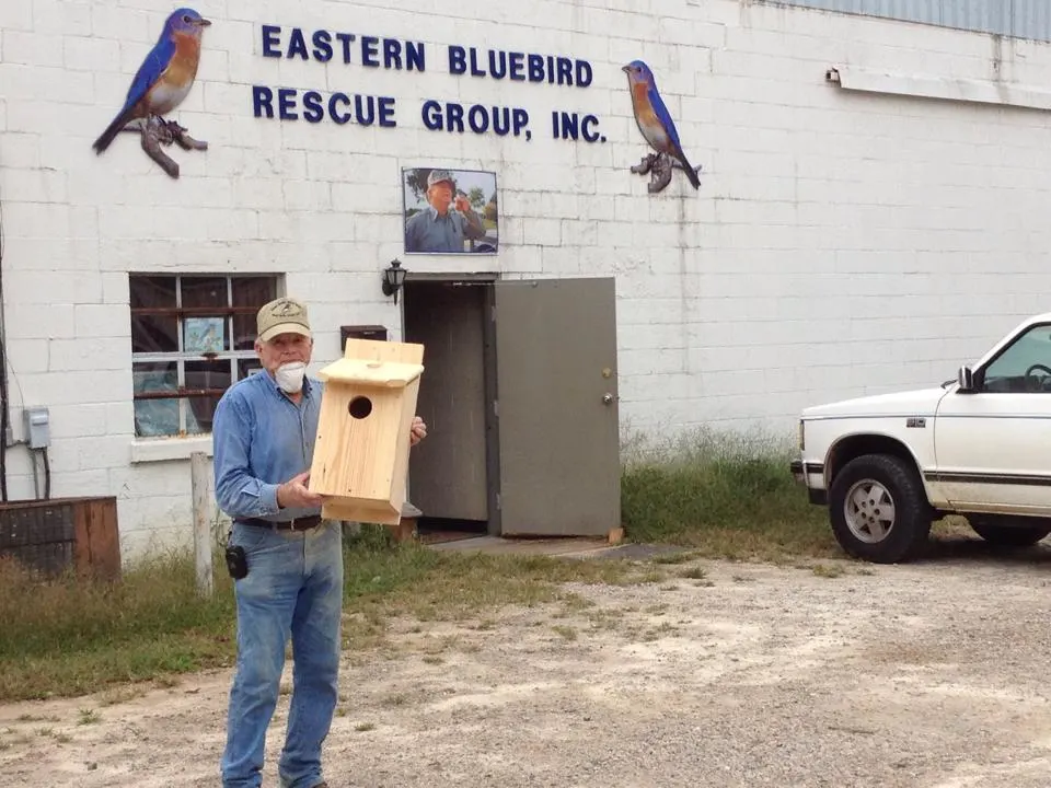 Nest Boxes - New Hope Bird Alliance