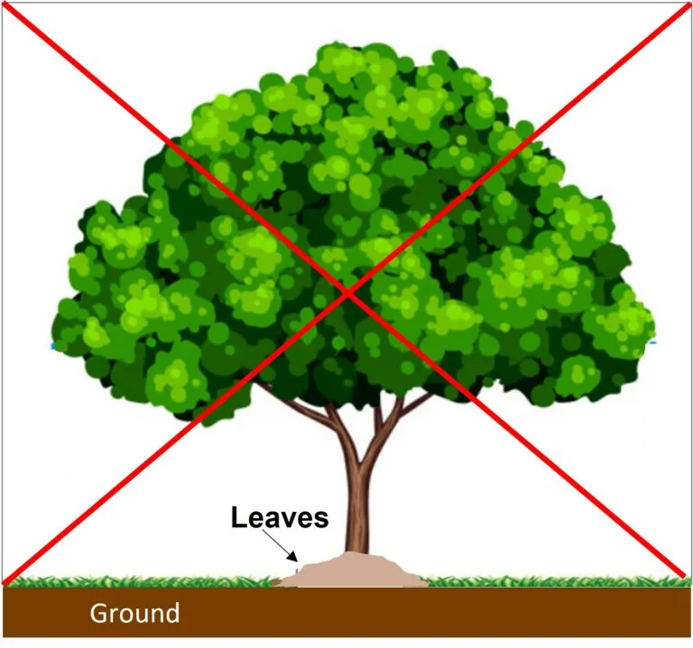 Leave Your Leaves - New Hope Bird Alliance