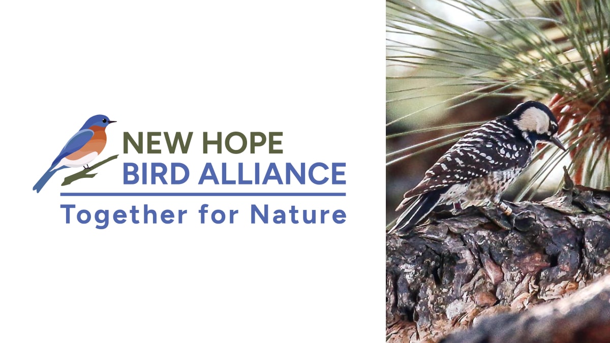 New Hope Bird Alliance